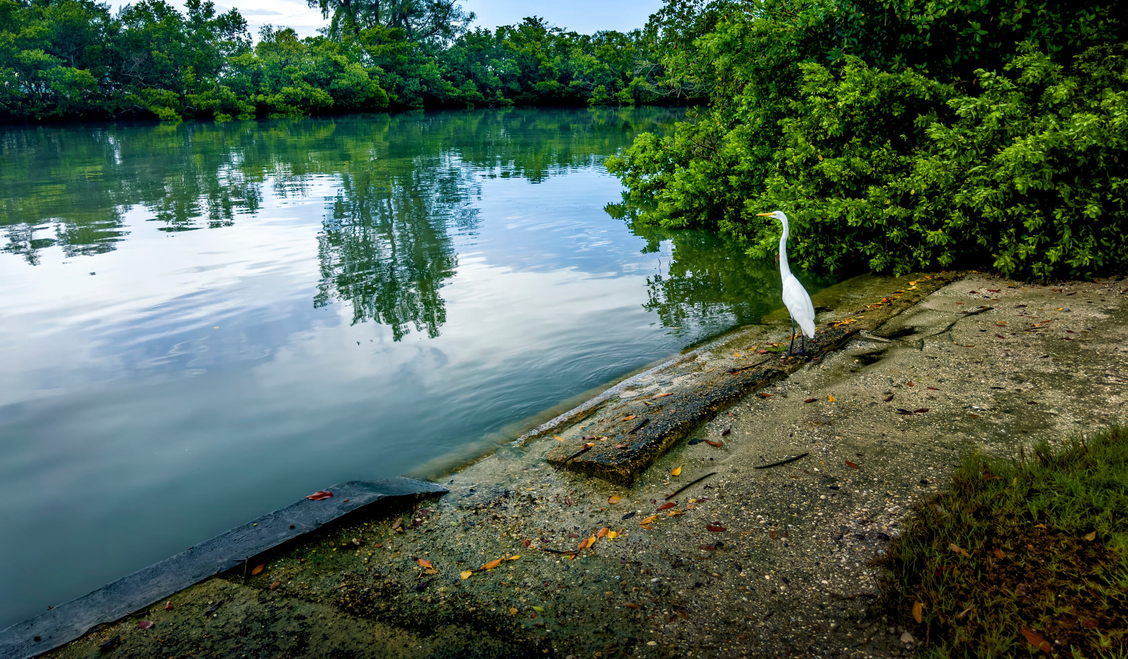 Understanding Florida’s Environmental Regulations in Real Estate